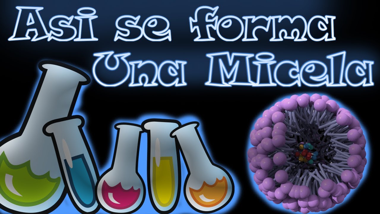 Formación de una MICELA - 👨‍🔬 #MICELAS EXPERIMENTO- 🧪 - YouTube