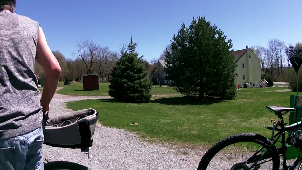 HARLEY BEE MOTORIZED BICYCLES... - YouTube