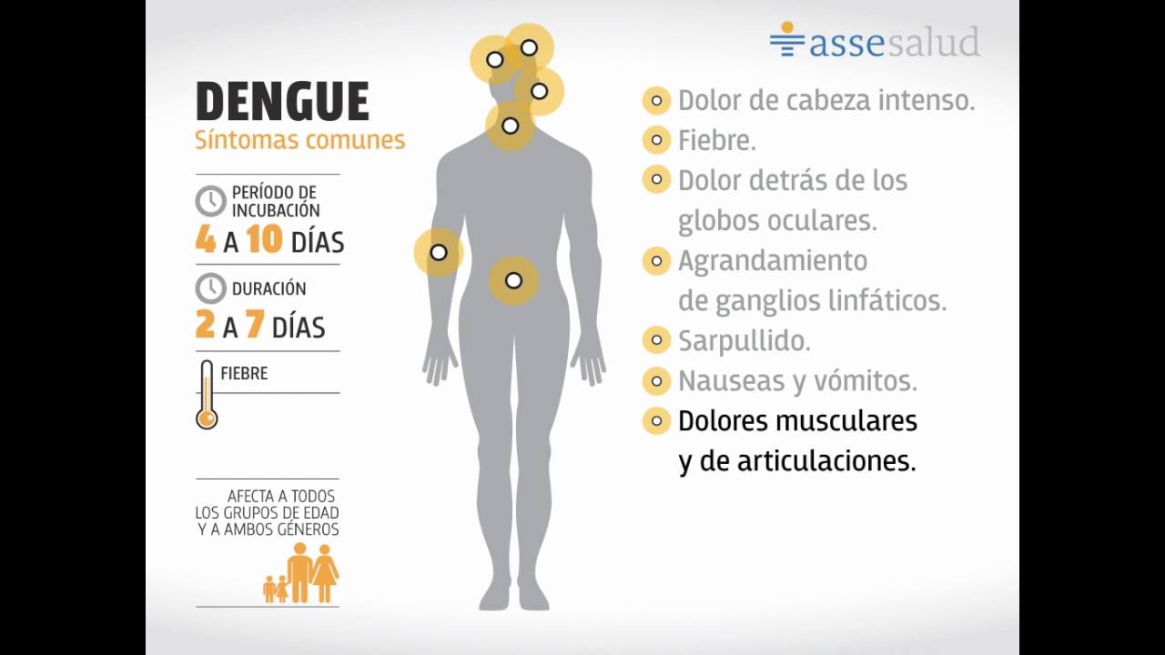 Síntomas Del Dengue