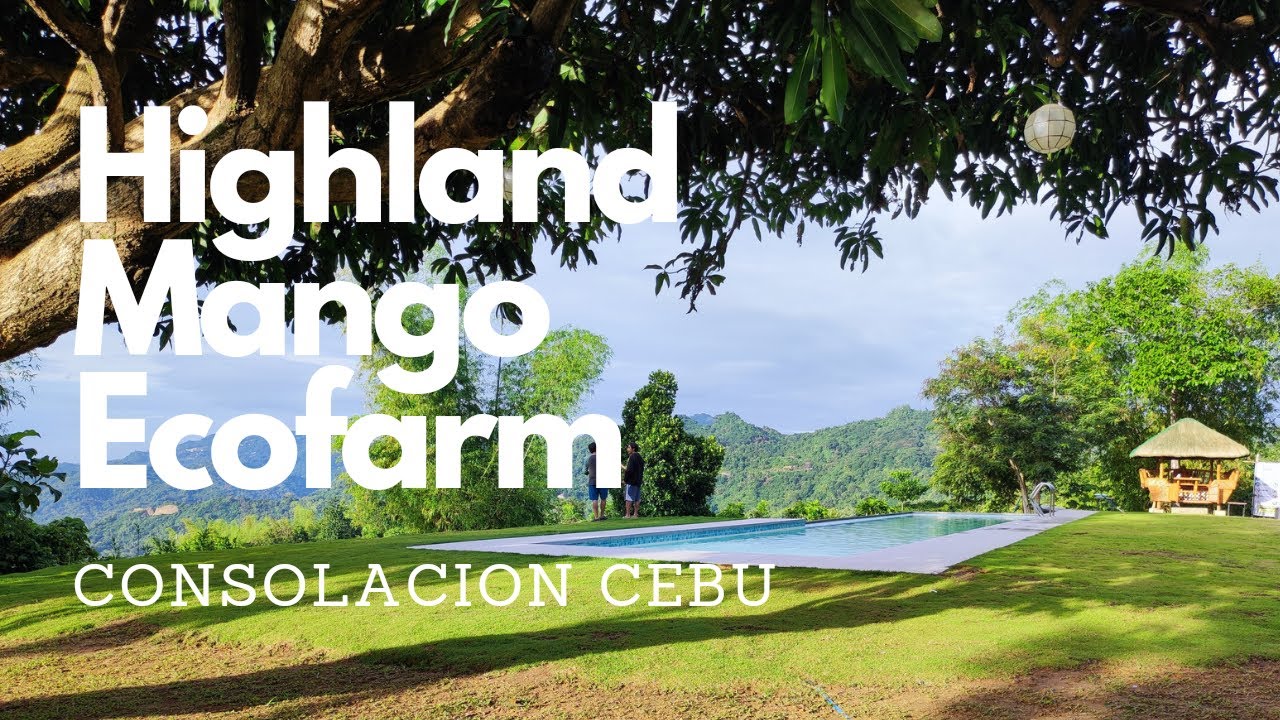 Highland Mango Ecofarm| Consolacion Cebu - YouTube