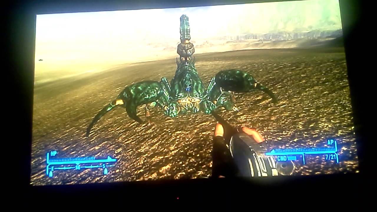 Fallout new vegas: Glitched radscorpion - YouTube