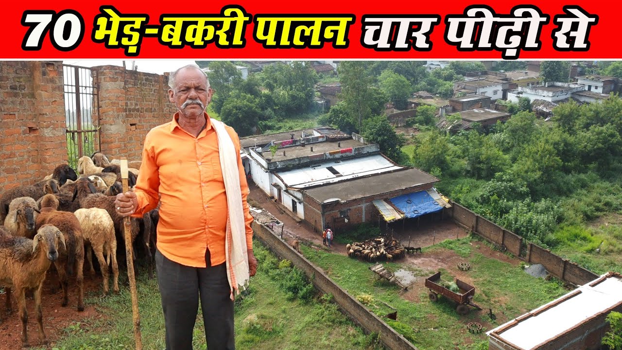 70 भेड़-बकरी पालन चार‌ पीढ़ी ।। 70 Bhed Bakri Paln char pidhi se ।। 70 ...