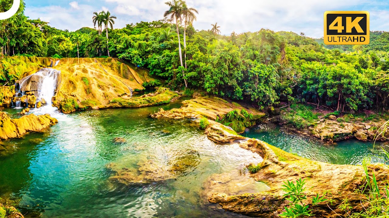 Cuba's Natural Marvel: The Rainforests | 4K Nature Documentary - YouTube