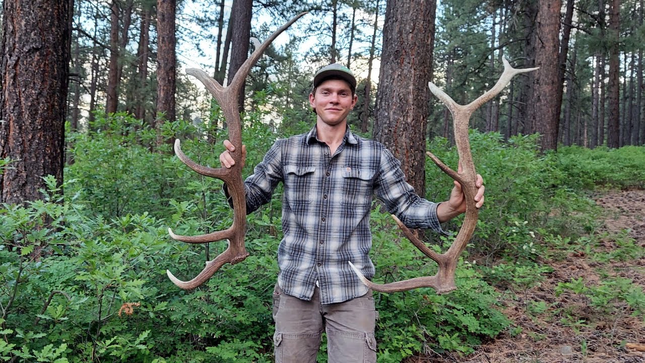 weekend shed hunt - YouTube