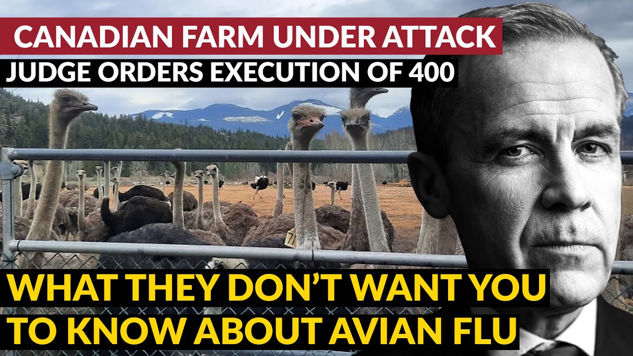 UNDER ATTACK | Judge Orders Canadian Farm Execution - YouTube
