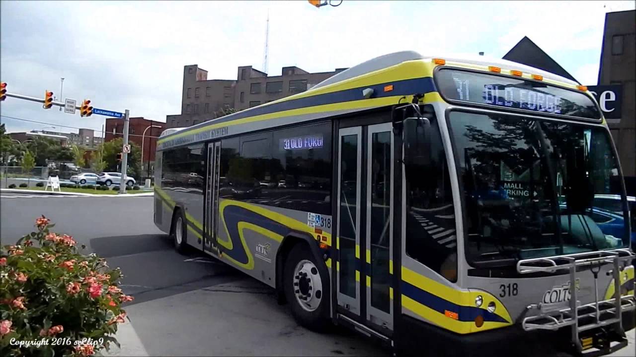 Various Buses in Scranton 8-11-2016 to 8-13-2016 - YouTube