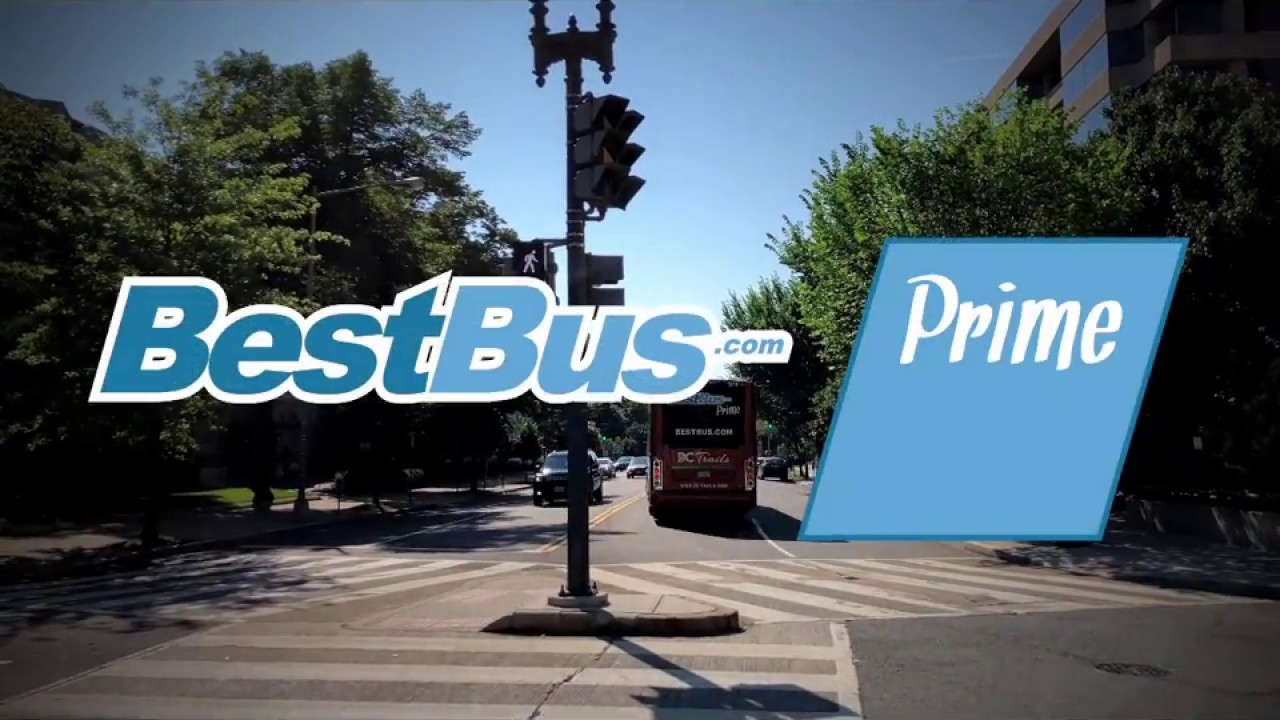 Luxury bus lines say they offer a nicer ride than Amtrak or airlines