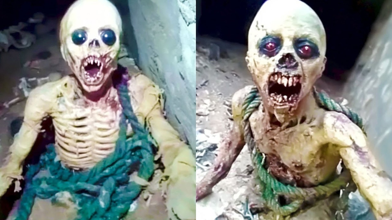 Top 10 Terrifying Chernobyl Mutations Caught on Camera - Part 2 - YouTube