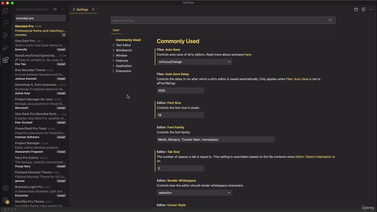 005 Setting Up Our Code Editor | Jonas.io | Udemy Course - YouTube