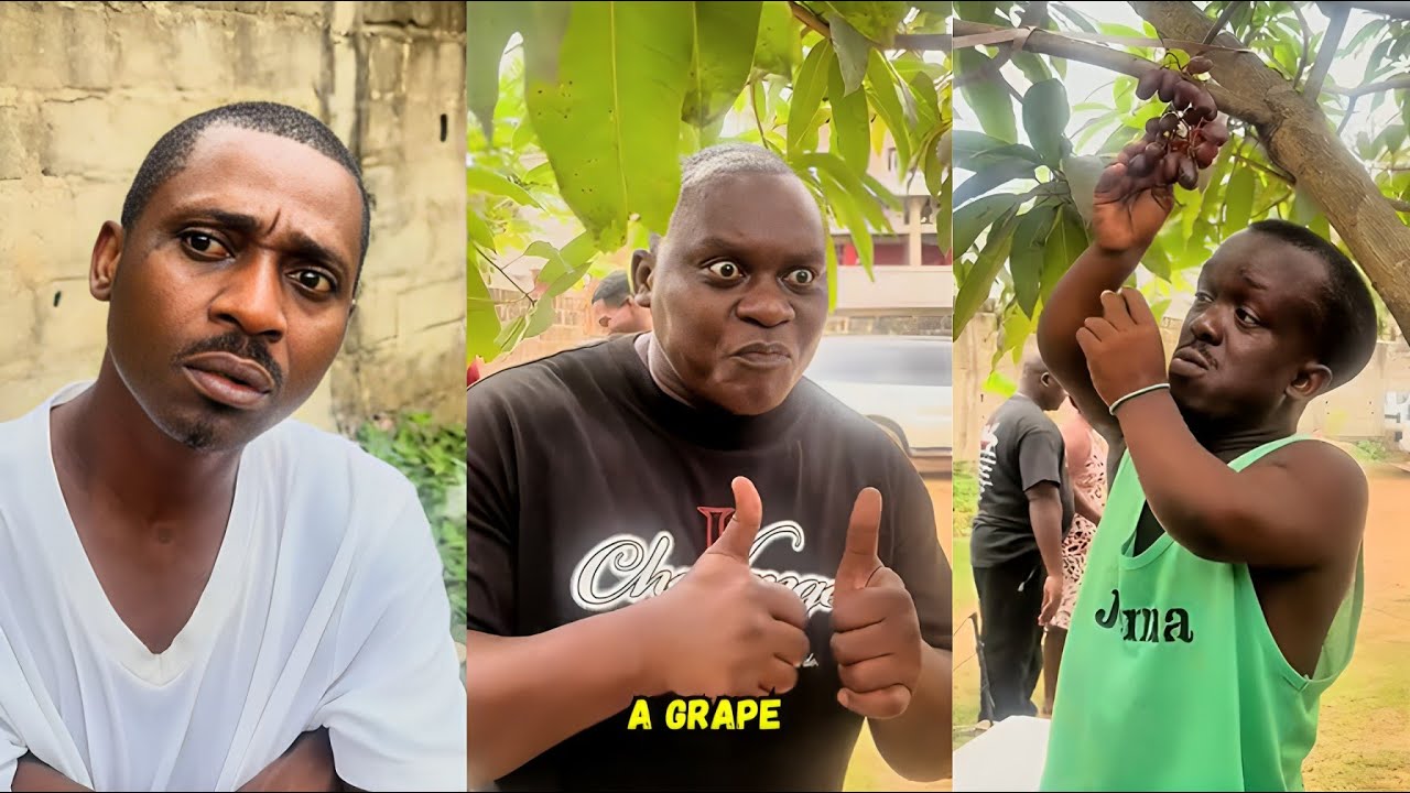 A grape ! Sean Bridon - YouTube