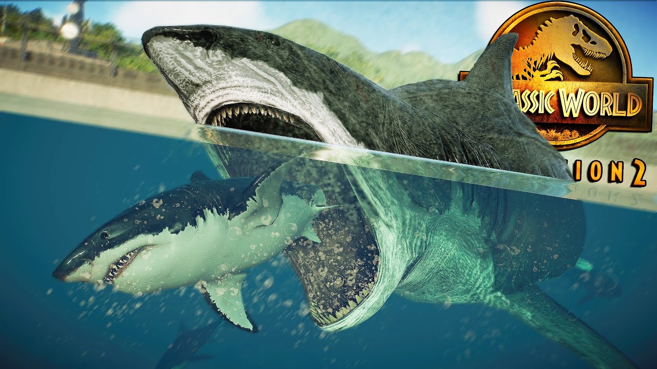 MEGALODON IN EVOLUTION 2!! | New Aquatic in Jurassic World Evolution 2 ...