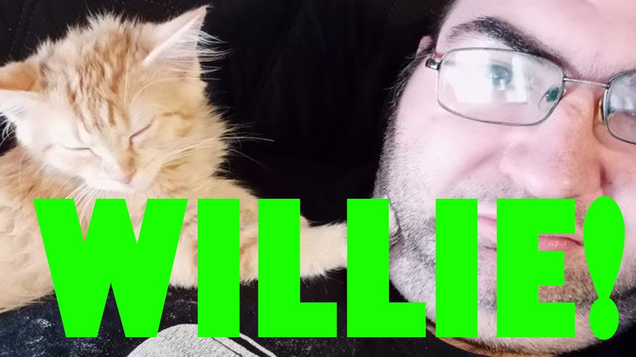 A Dragon Lord Frodo update! He has a new cat named Willie - YouTube