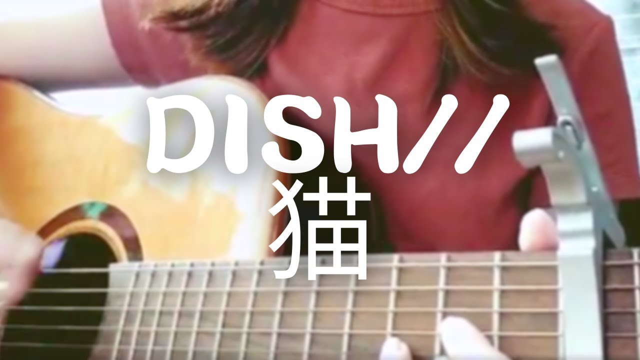 DISH// - 猫 女性弾き語りカバー | DISH// - Neko Female Acoustic Short Cover - YouTube