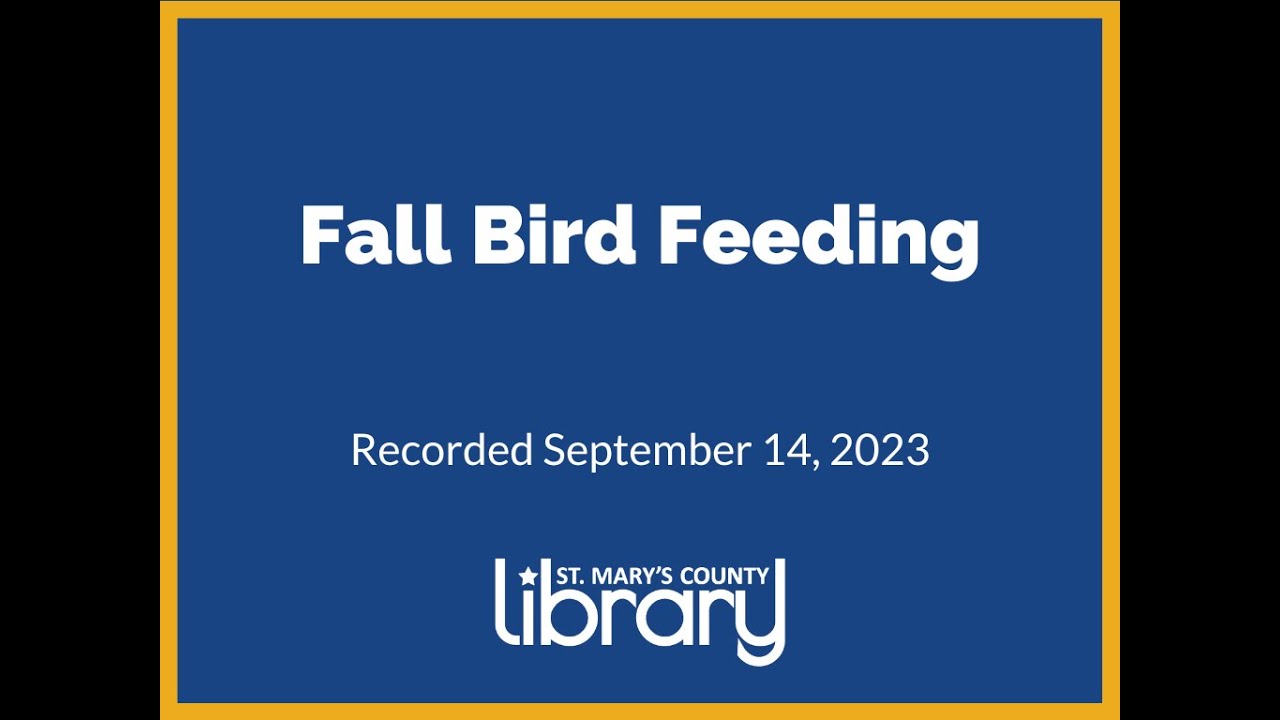 Fall Bird Feeding - YouTube