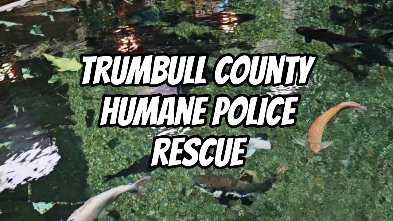Trumbull County Humane Police Rescue - YouTube
