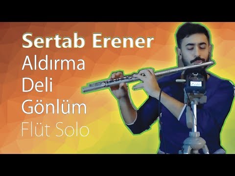 Sertab Erener - Aldırma Deli Gönlüm (Mehmet Erdem ver.) | Yan Flüt Solo - Mustafa Tuna