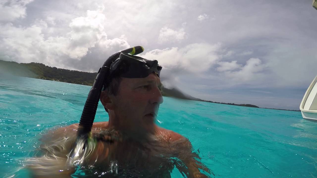 Diving under Lagoon 400, Cool Runnings in Bora Bora August 2016 - YouTube