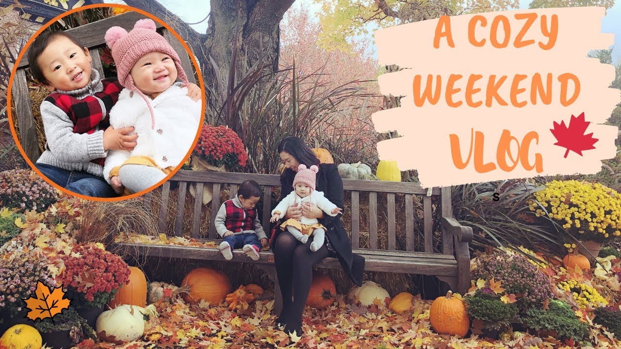 A COZY WEEKEND VLOG/带娃逛超市／庄园半日游／漂亮的秋景🍁 - YouTube