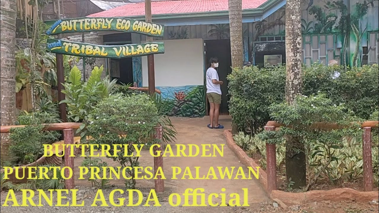 BUTTERFLY GARDEN & PUERTO PRINCESA PALAWAN - YouTube