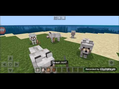 Wolf Kills Sheep Rabbit And Fox (Minecraft) - YouTube