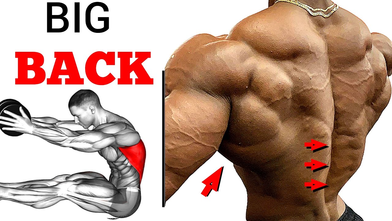 9 Perfect Exercises to Build a Big Back - Ree Workout - YouTube