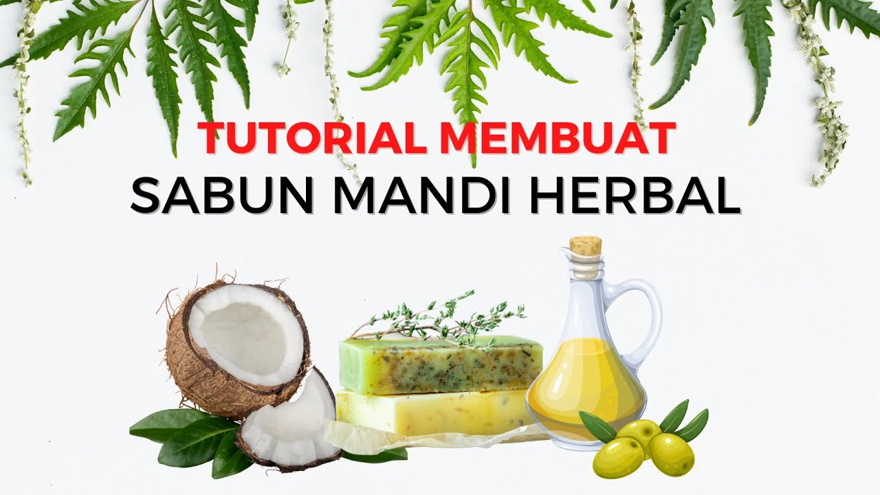 Tutorial Membuat Sabun Mandi Herbal dari Minyak Zaitun ‼️ - YouTube