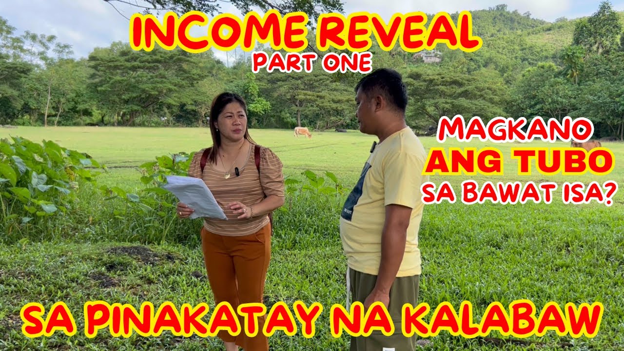 INCOME REVEAL SA PINAKATAY NA KALABAW PART 1 | MAGKANO ANG TUBO SA ...