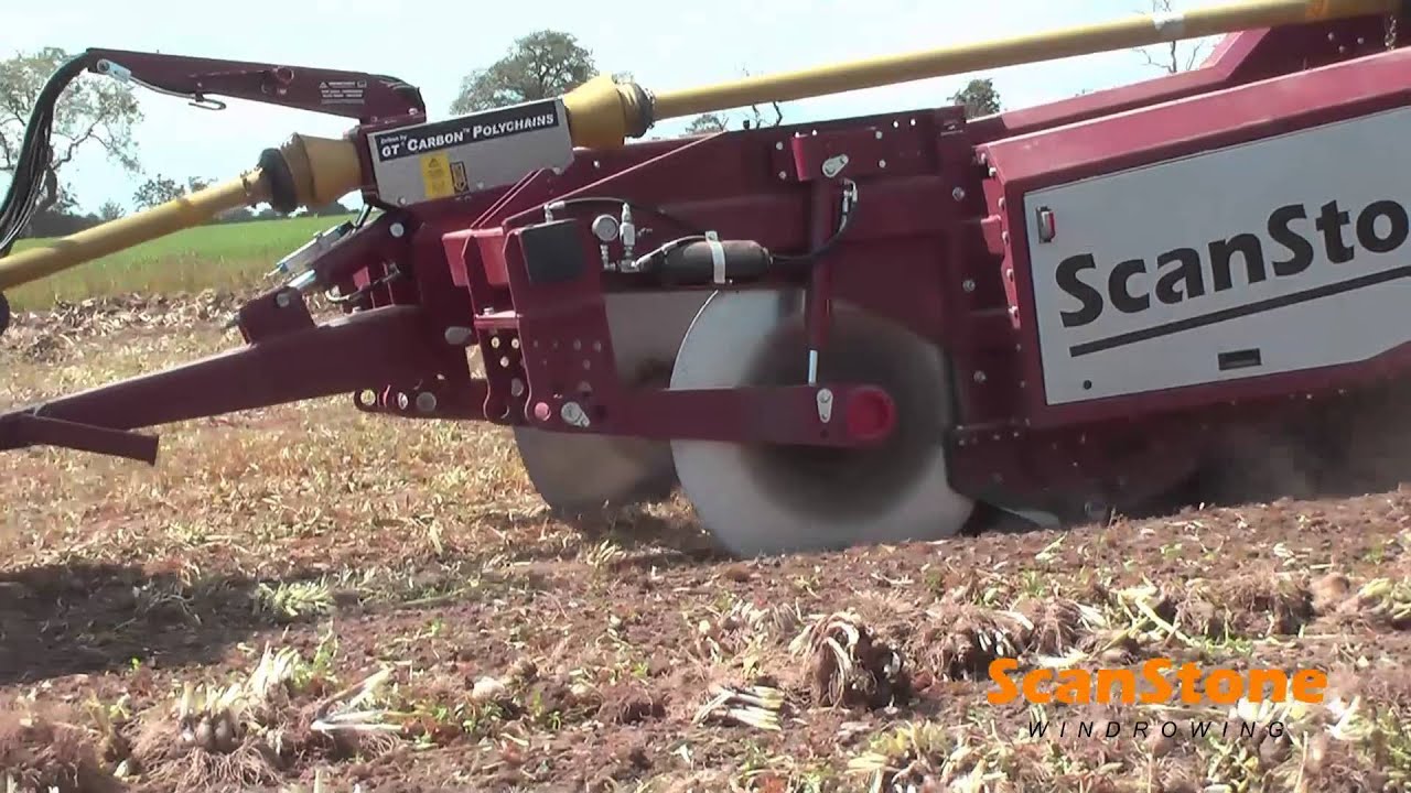 ScanStone Destoner Windrowing - Flower Bulbs - YouTube