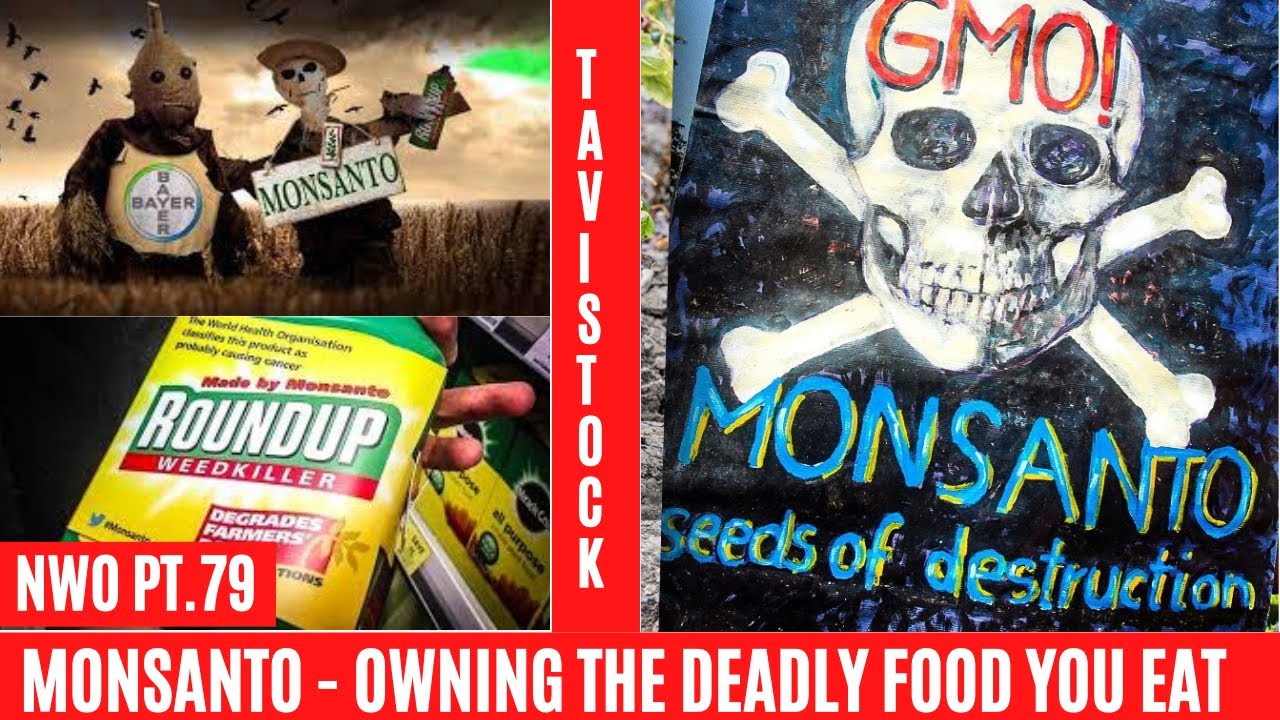 MONSANTO - OWNING THE DEADLY FOOD YOU EAT - YouTube