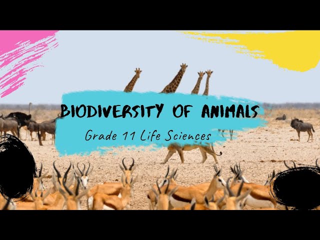 Life Science Pictures Animals