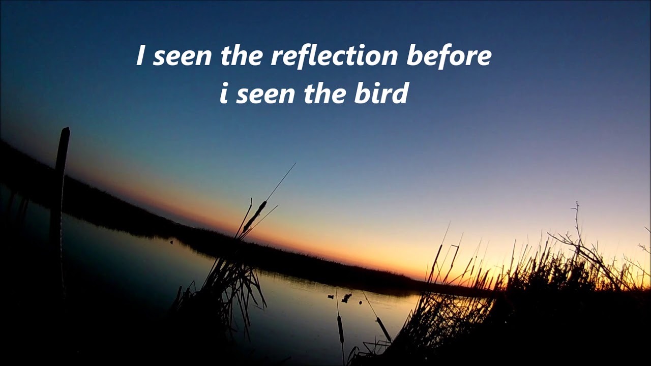 ducks cupping in teal smack down california public land, california ...