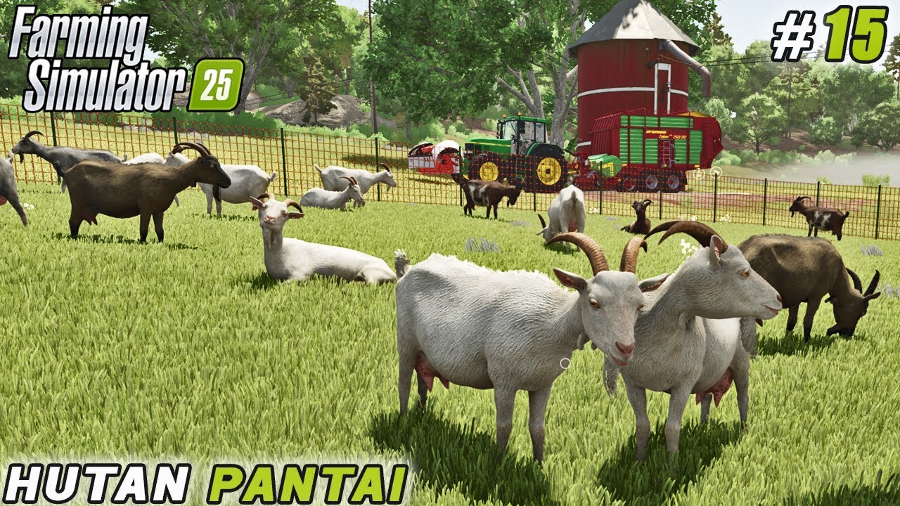 Investing in Goats: Starting Our Livestock Adventure | Hutan Pantai ...