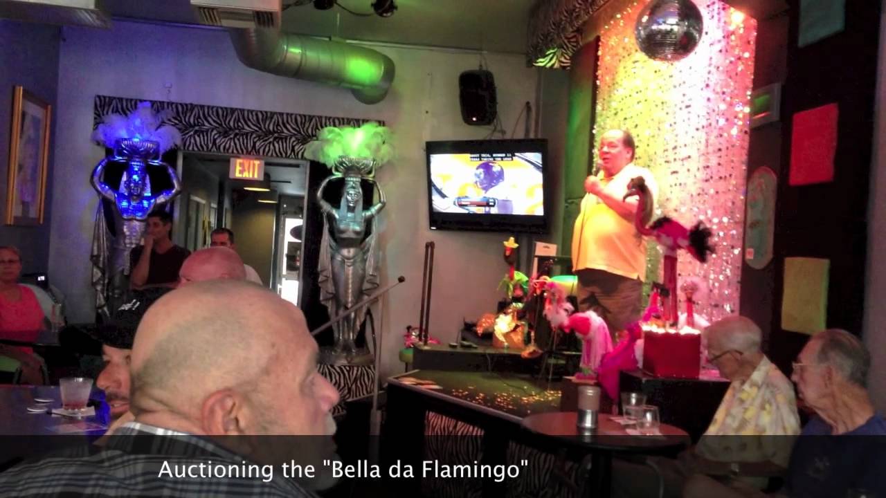 Pink Flamingo Walk 1 - YouTube
