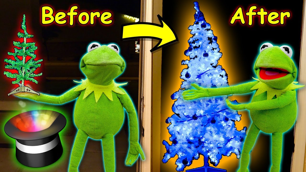 Kermit the Frog buys a MAGIC Christmas Tree! (Ft Elmo) - YouTube