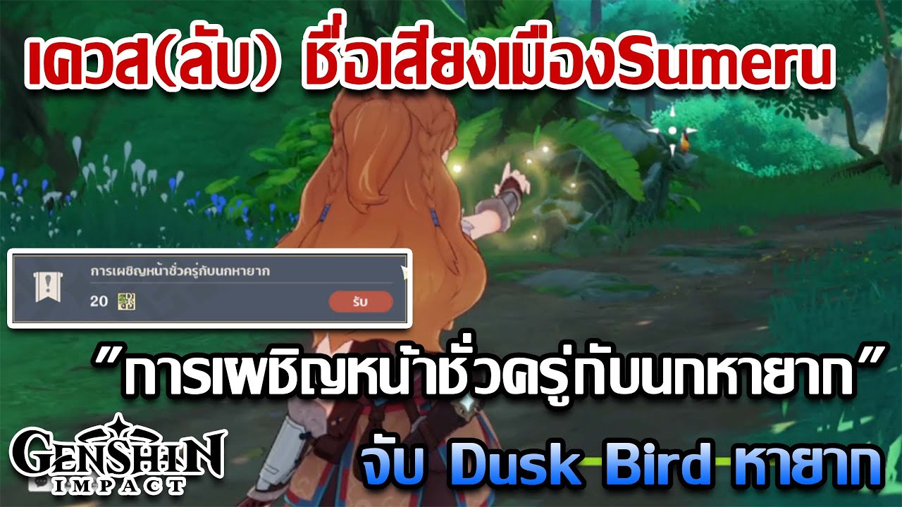 เควสโลก(ลับ) "การเผชิญหน้าชั่วครู่กับนกหายาก" จับ Dusk Bird หายาก!!! l ...