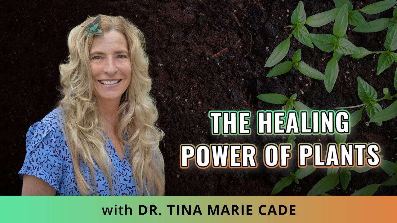 Horticultural Connections: Learning About The Healing Power Of Plants ...