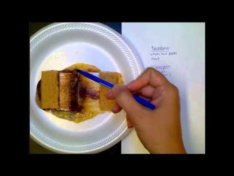 Lab 6 - Snack Tectonics - YouTube