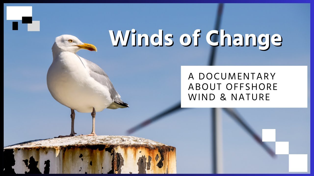 Winds of Change - a documentary about Offshore Wind in the North Sea ...
