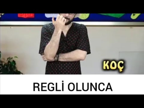 BURÇLAR SİNİRLENİRSE / AhmetBaydarTK