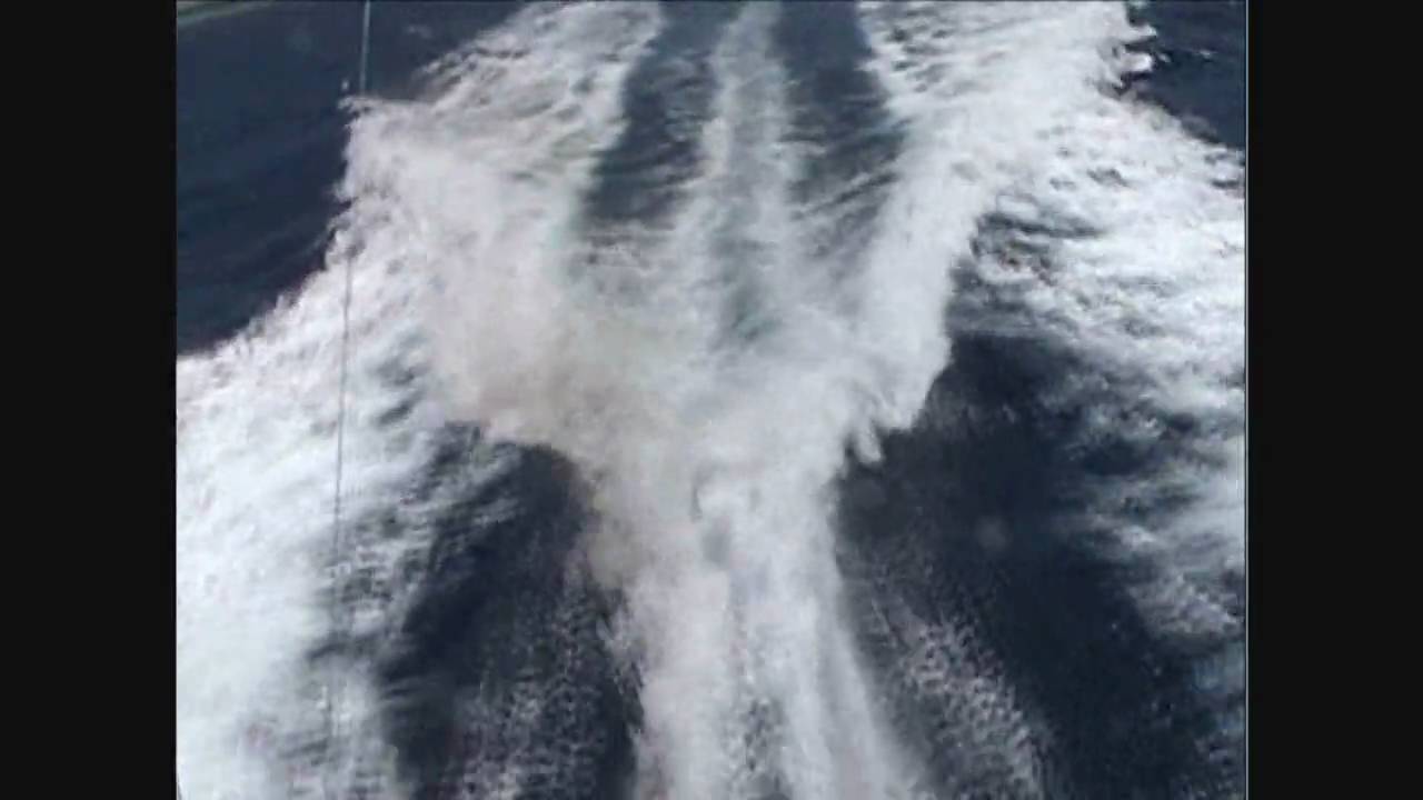 Deep Sea Fishing in Riviera Maya, Mexico - YouTube