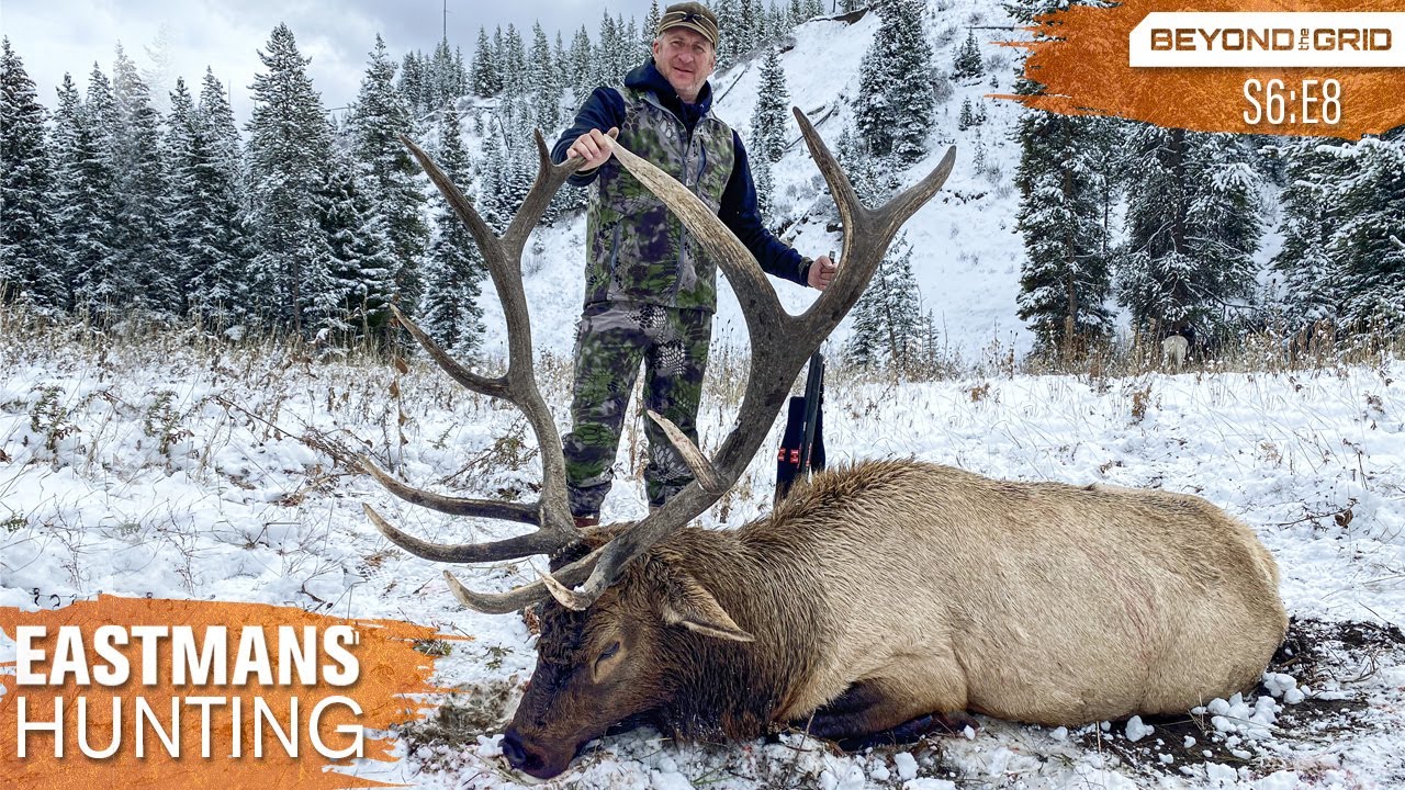 Giant Bulls on Public Land! Backcountry Elk Hunt with Guy Eastman - YouTube