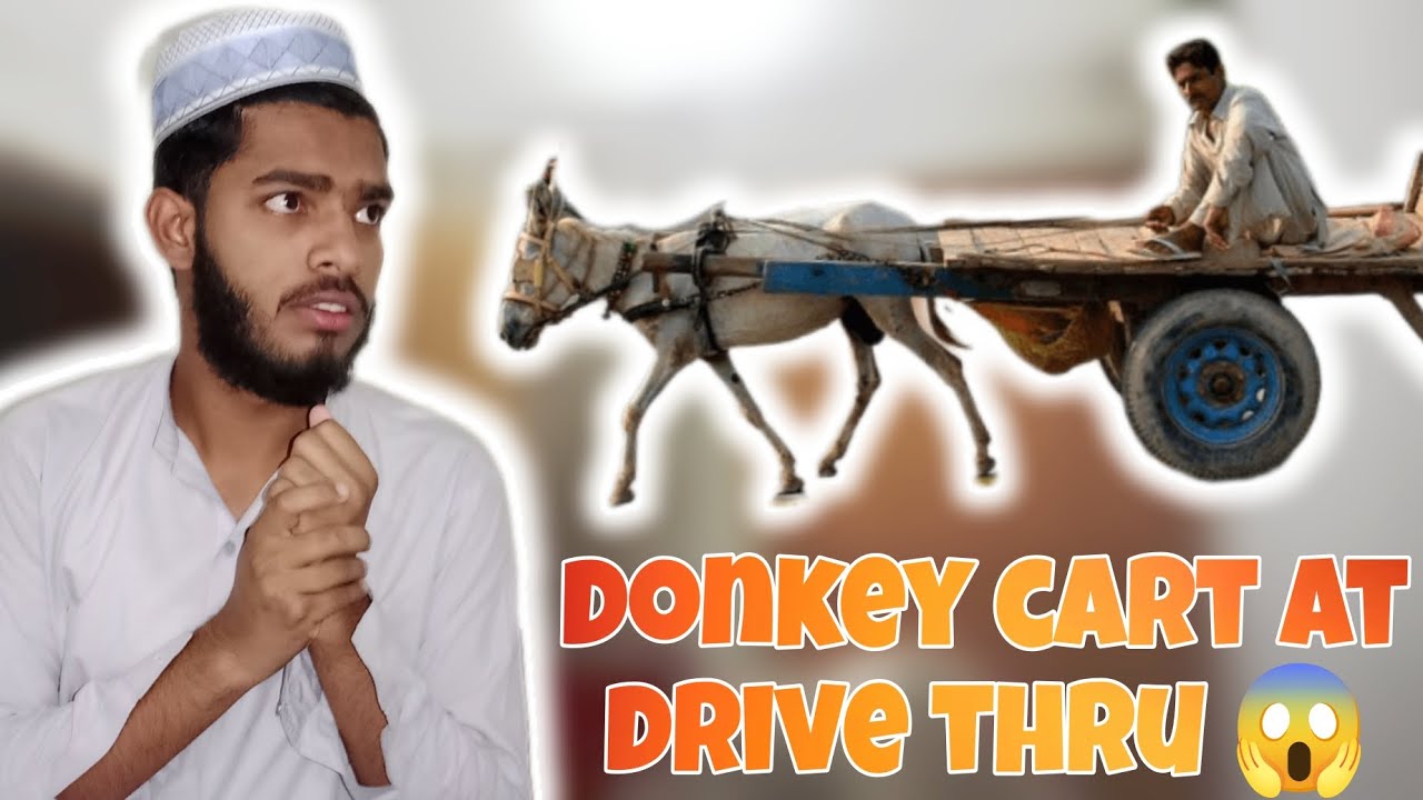 Donkey cart at Drive Thru 😱 With Hussain DON | RJ 133 - YouTube