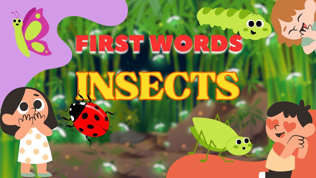 Learn Insects and Bugs | Kids vocabulary | Learn English for kids ...