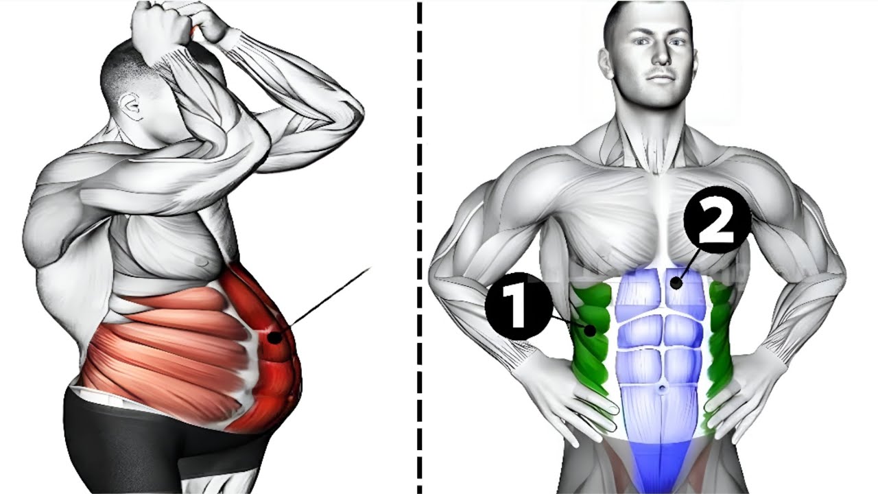 Abs Workout - Daily roumorning workout - Daily routinetine - YouTube