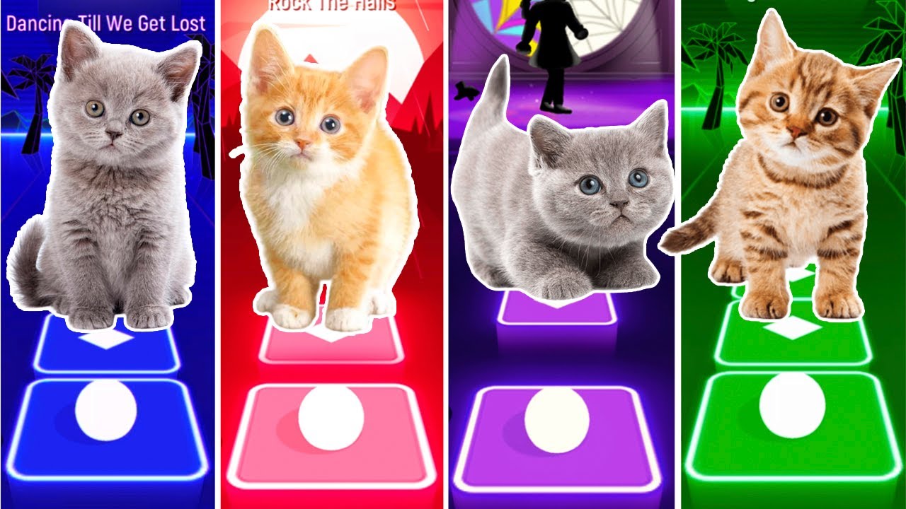 CUTE CATS JISOO FLOWER BLACKPINK vs JENNIE SOLO vs BTS DYNAMITE vs ...