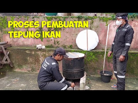 CARA PROSES PEMBUATAN TEPUNG IKAN