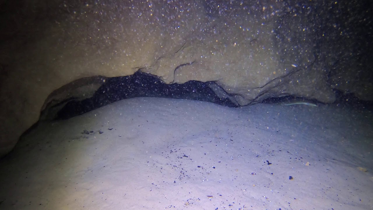 Vortex Spring Cave Entrance EELS! - YouTube