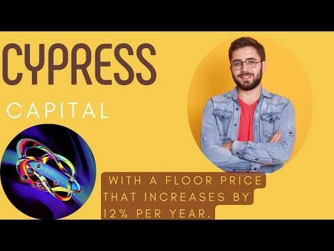 NEW PROJECT CYPRESS 2024 - YouTube