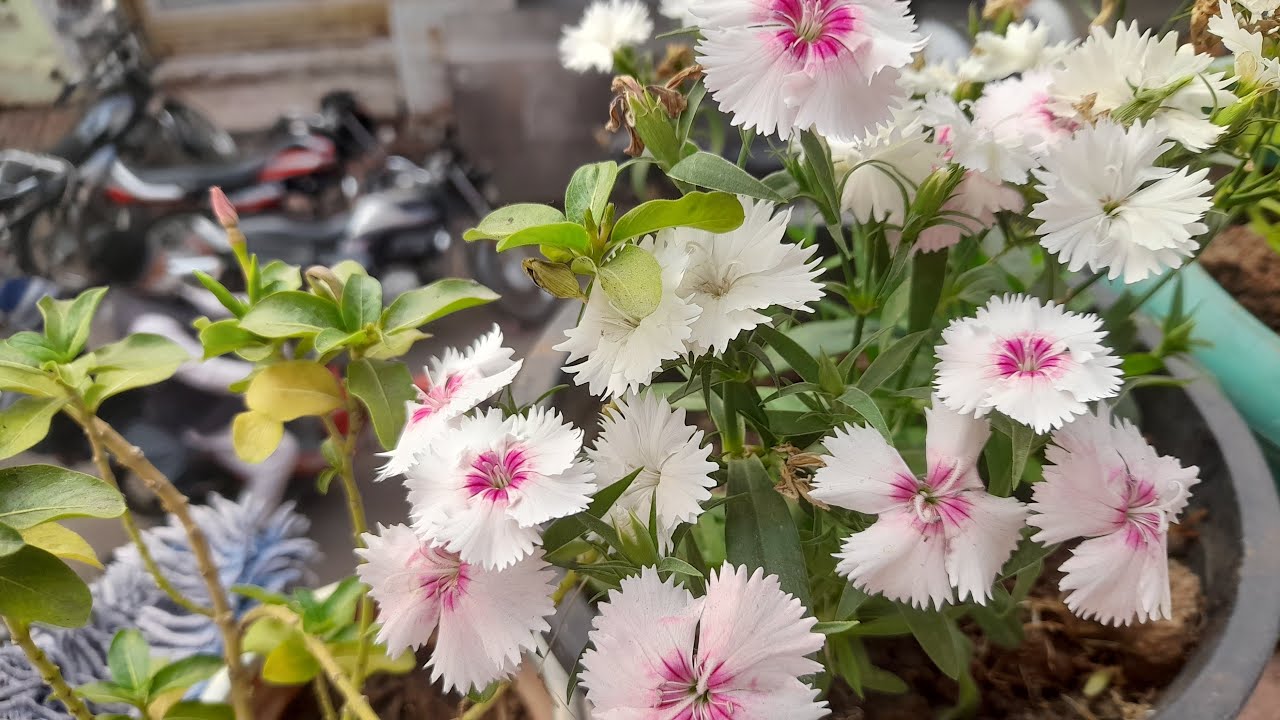 Good Morning friends join me. 😊 - YouTube