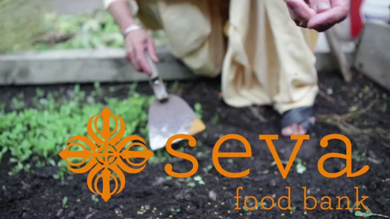 Grow A Row For The Seva Food Bank! (English) - YouTube